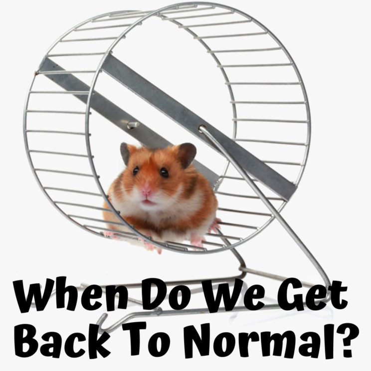 When Do We Get Back To Normal?